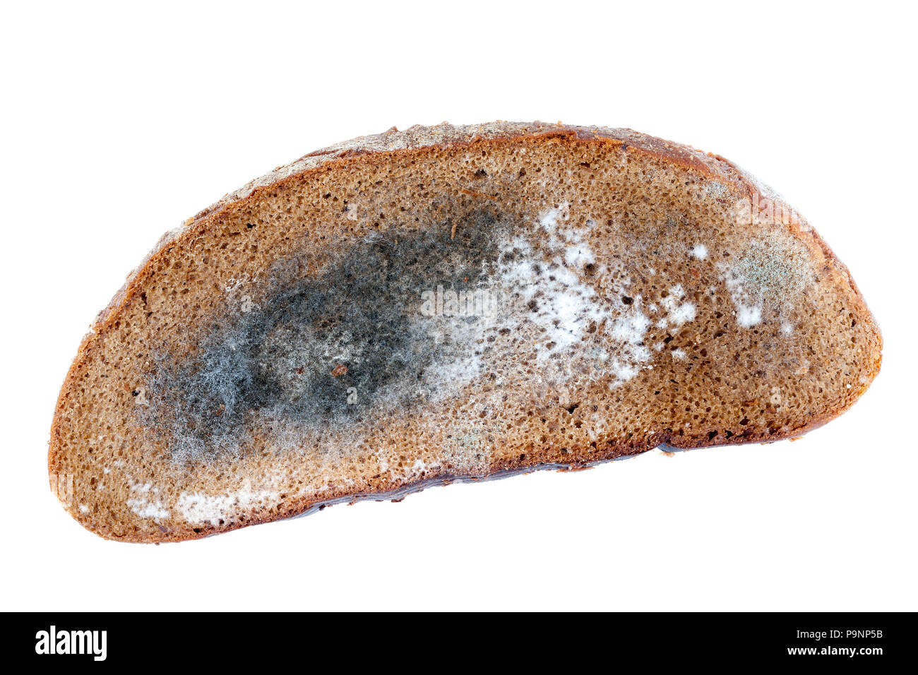 Black mold on a bread Cut Out Stock Images & Pictures - Alamy