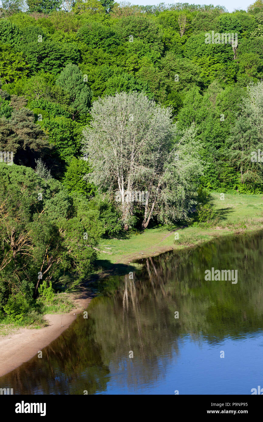spring trees growing on the river bank, landscape, top view Stock Photo ...