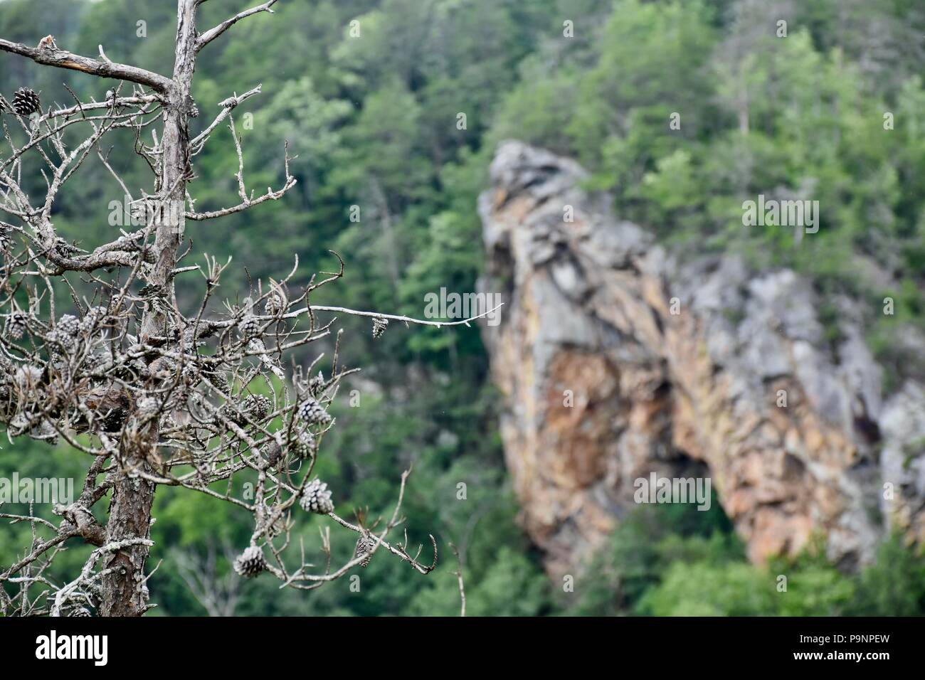 Gorge overlook hi-res stock photography and images - Alamy