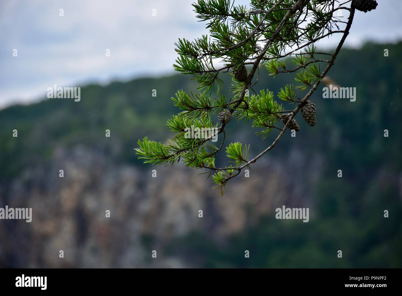 Mountain gorge overlook Stock Photo - Alamy