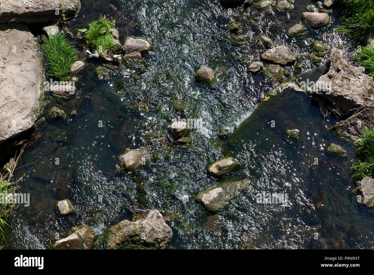 River Water Top View