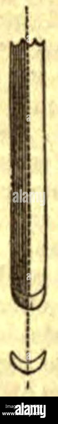 Gouge bit hi-res stock photography and images - Alamy