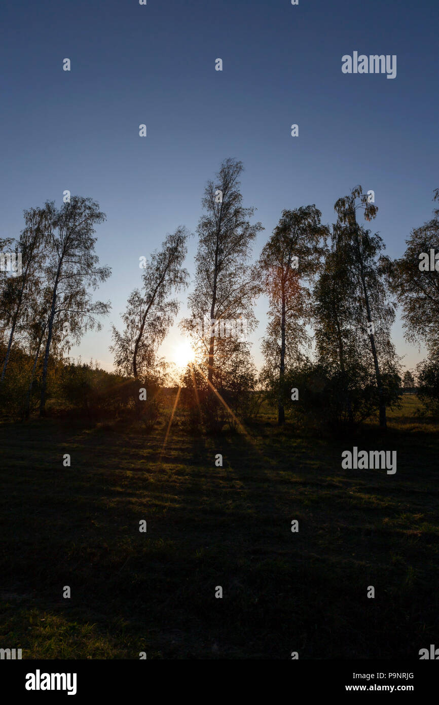 sun shining through trees, autumn landscape at sunset Stock Photo - Alamy