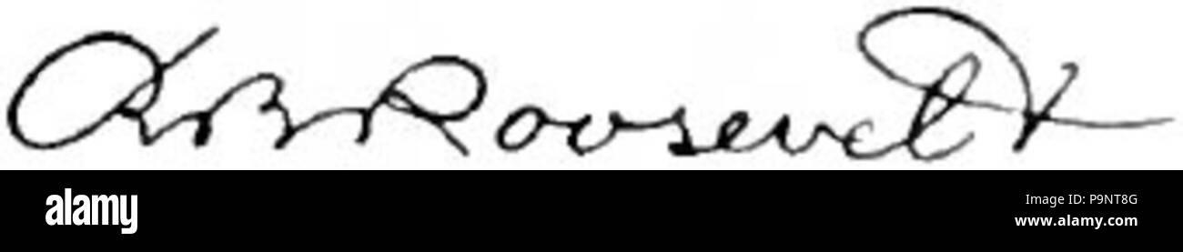 145 Appletons' Roosevelt Nicholas J - Robert Barnwell signature Stock ...