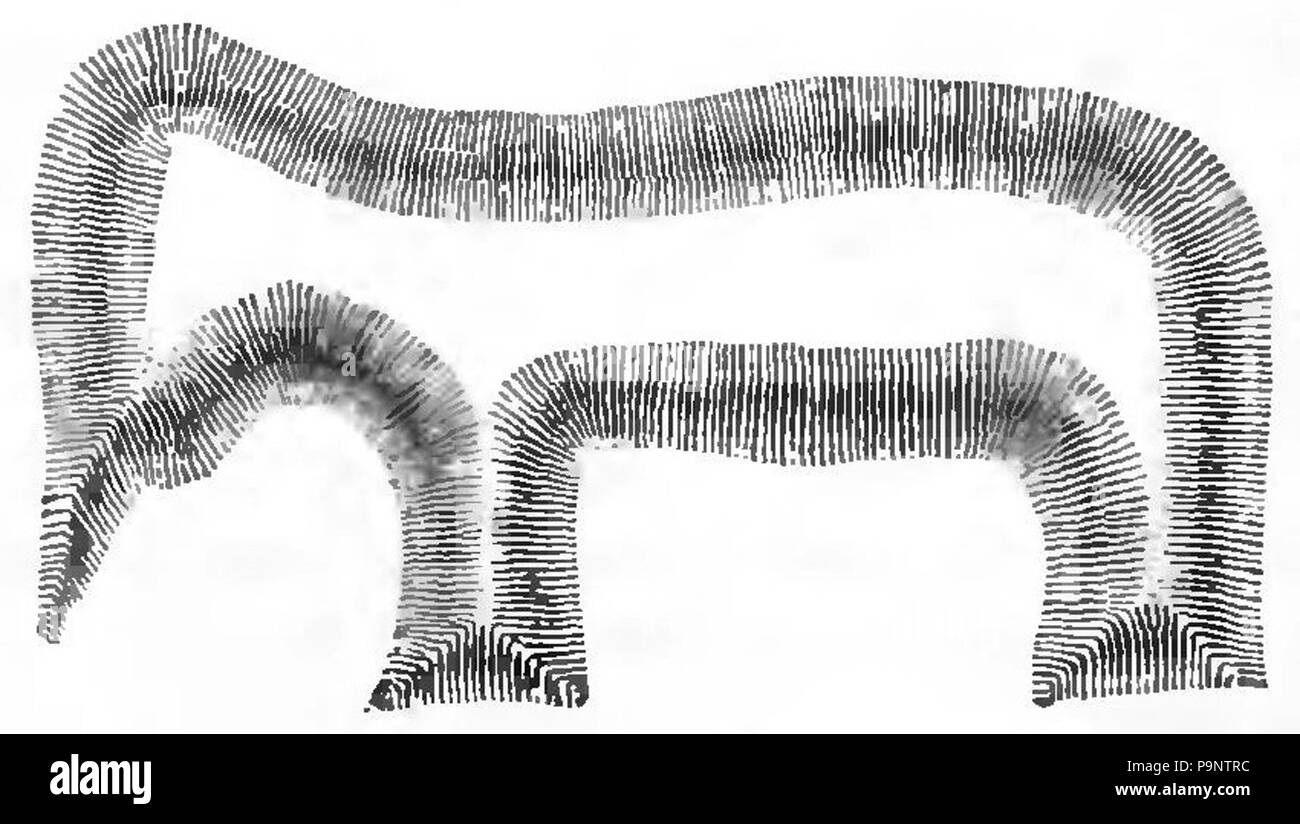 Antediluvian World High Resolution Stock Photography and Images - Alamy