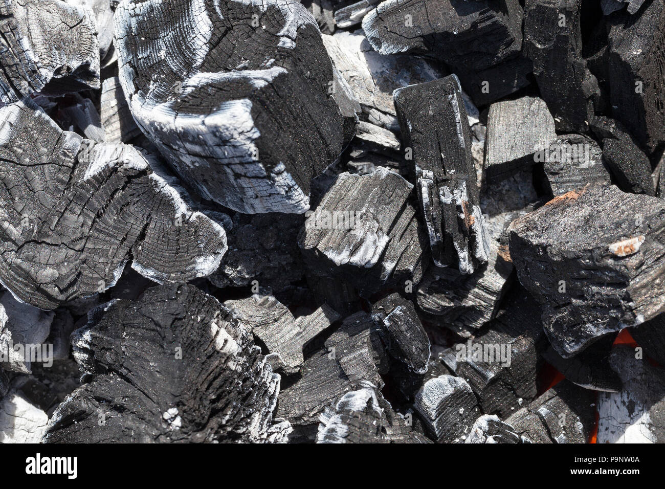 Extinct light hi-res stock photography and images - Alamy