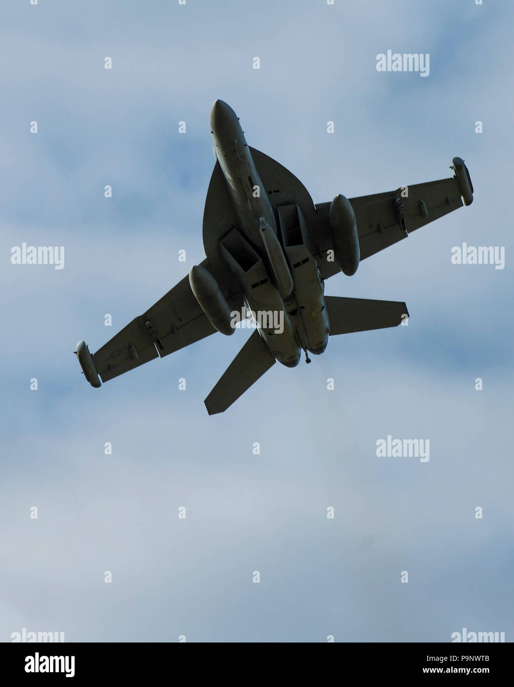 A U.S Navy EA-18G Growler assigned Electronic Attack Squadron (VAQ) 139 ...