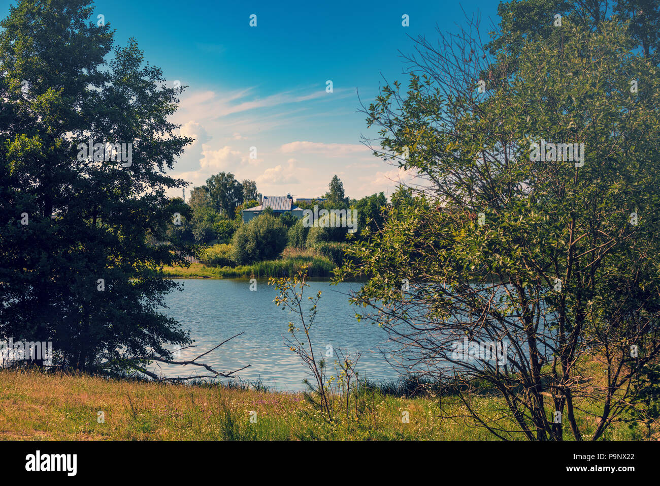 Lakeshore with tree and sun hi-res stock photography and images - Alamy