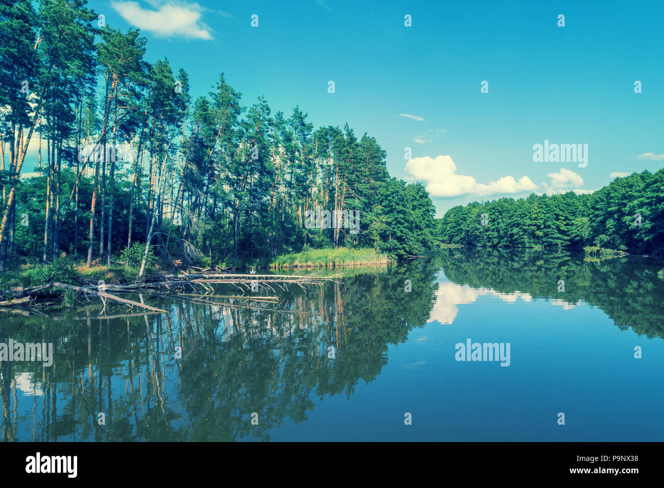 Aerial view of the calm lake in the forest. Beautiful wilderness Stock ...