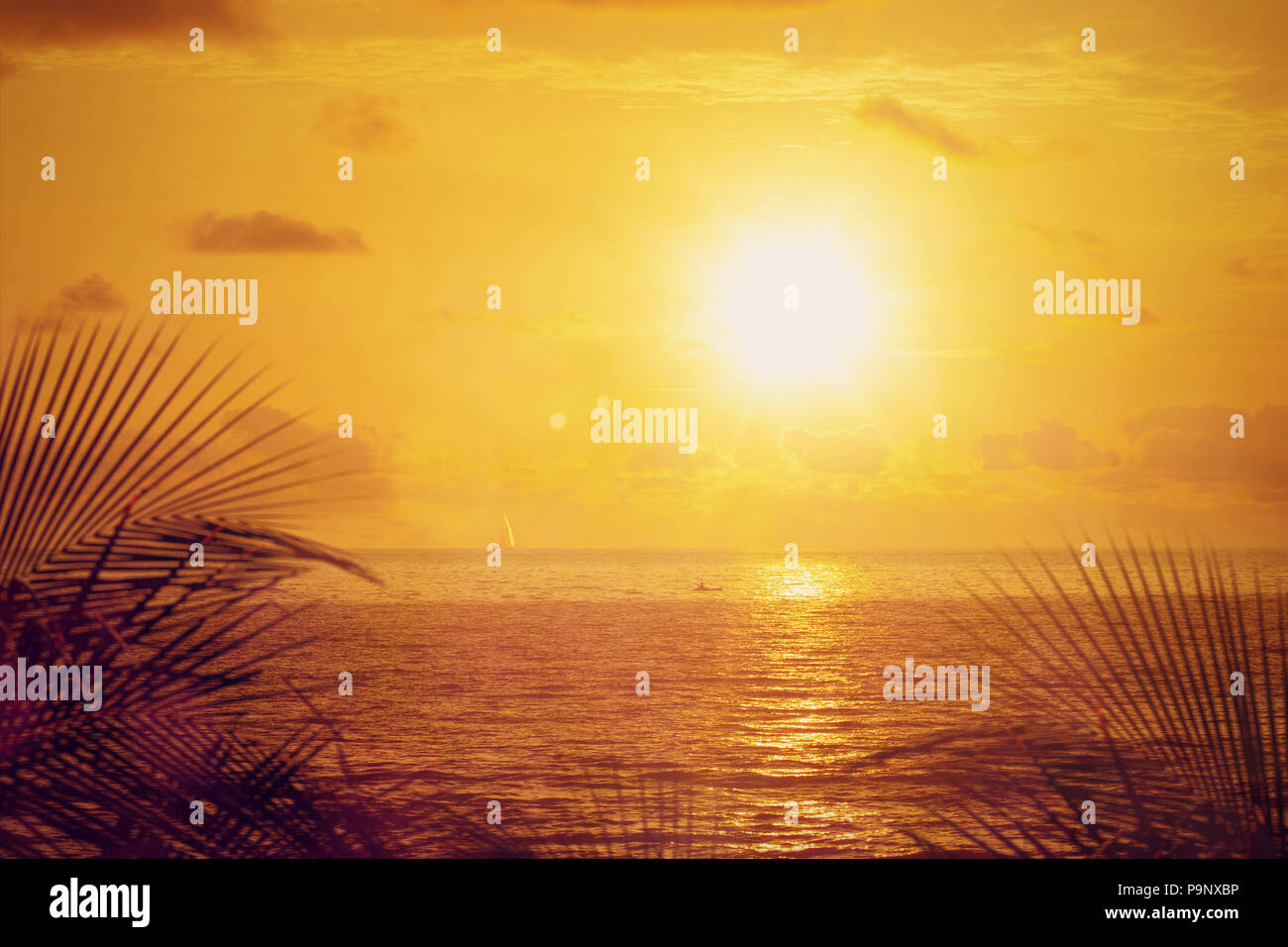 Sunset mood at the ocean background Stock Photo - Alamy