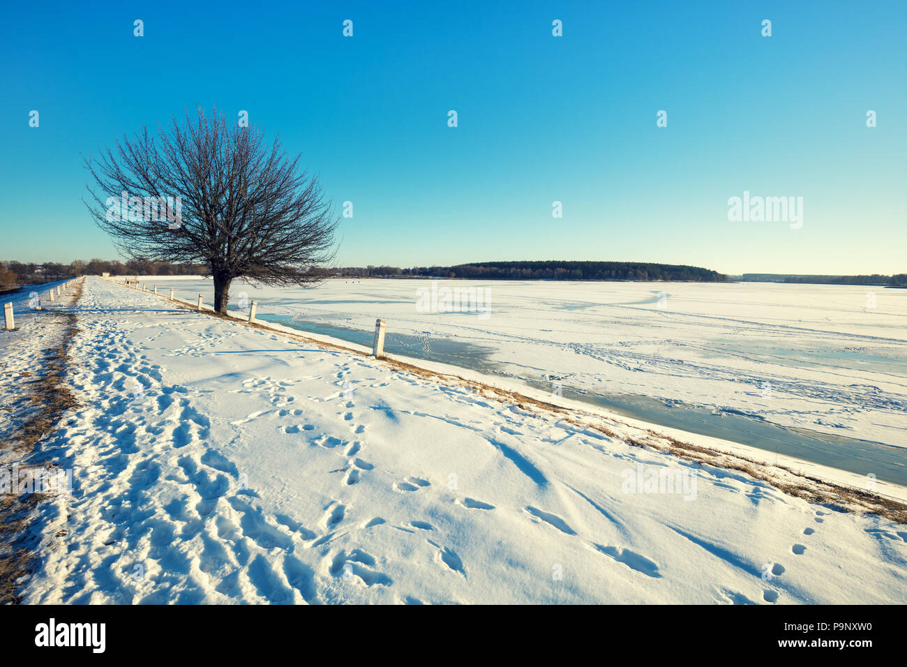 Dam tree hi-res stock photography and images - Alamy