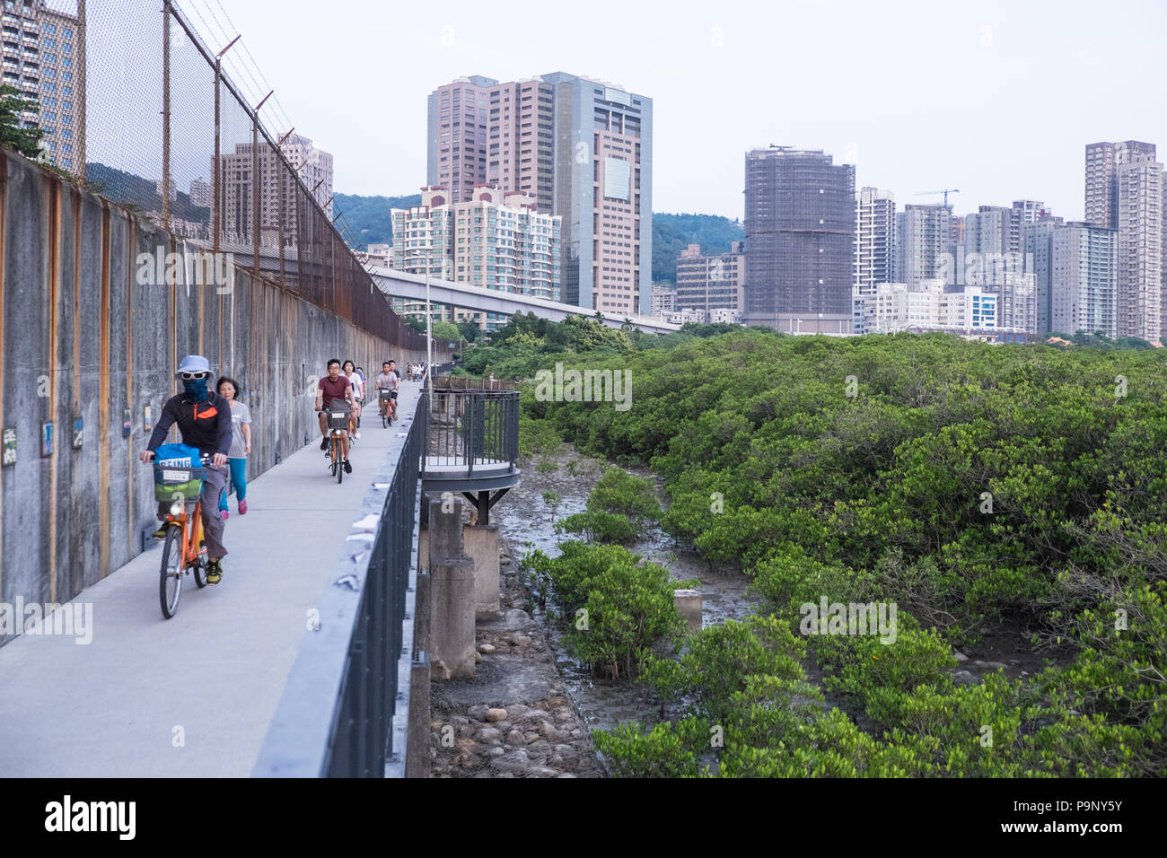 Damshui,Tamsui River Mangrove Conservation Area,Tamsui,port,sea,river ...