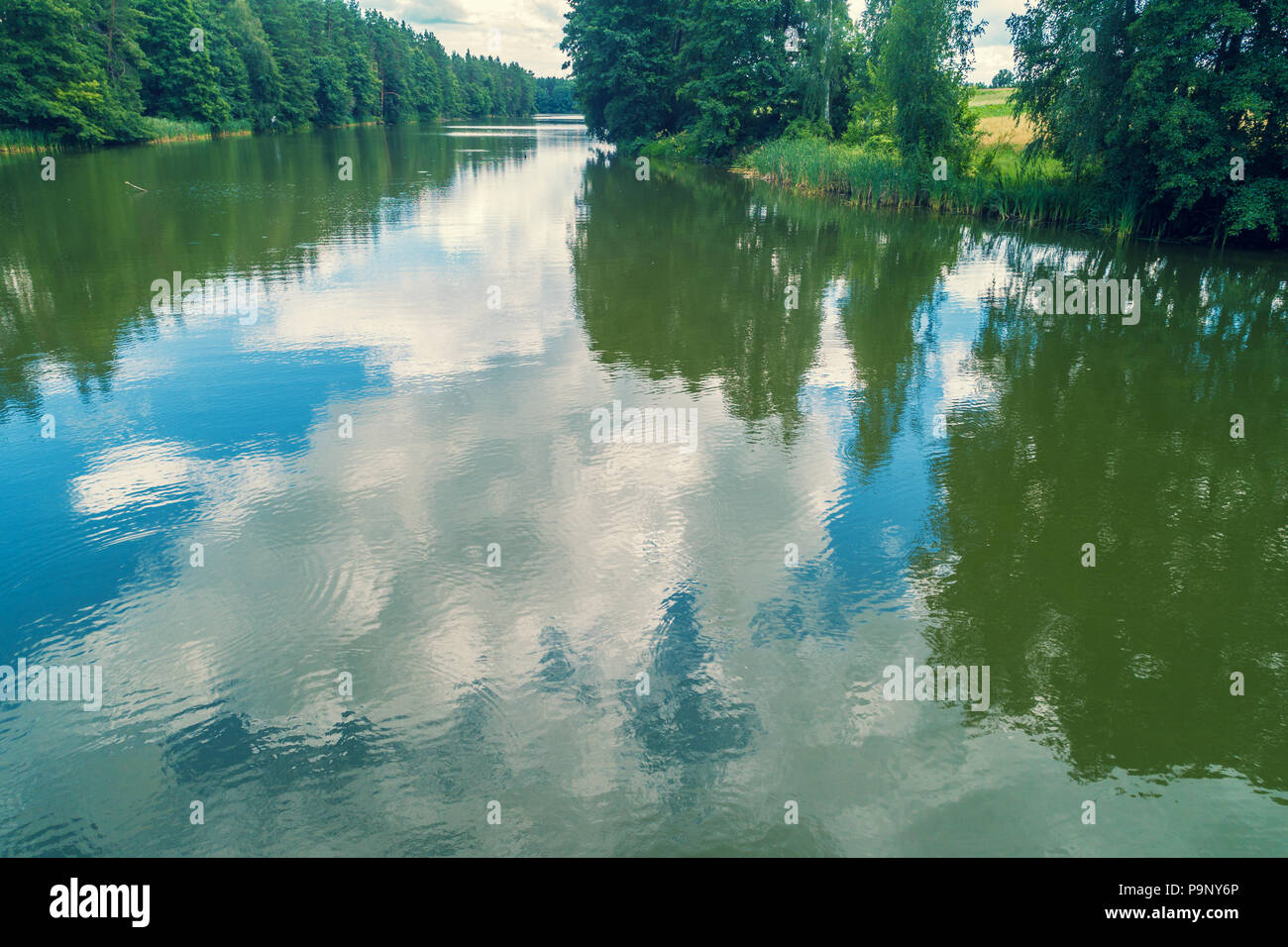 Aerial view of lake with beautiful reflection of clouds. Forest along ...