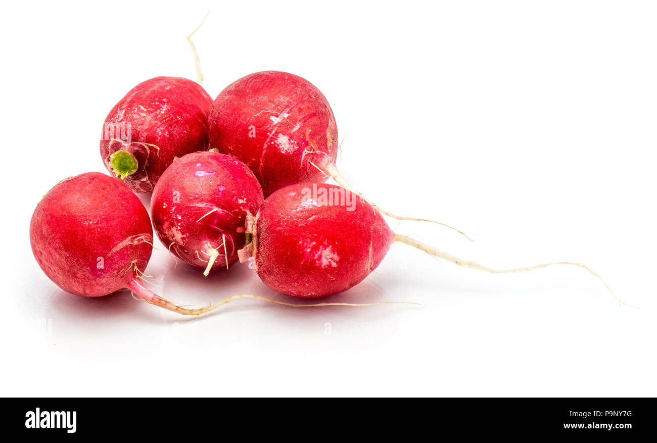 Five bulbs of red radish isolated on white background Stock Photo - Alamy