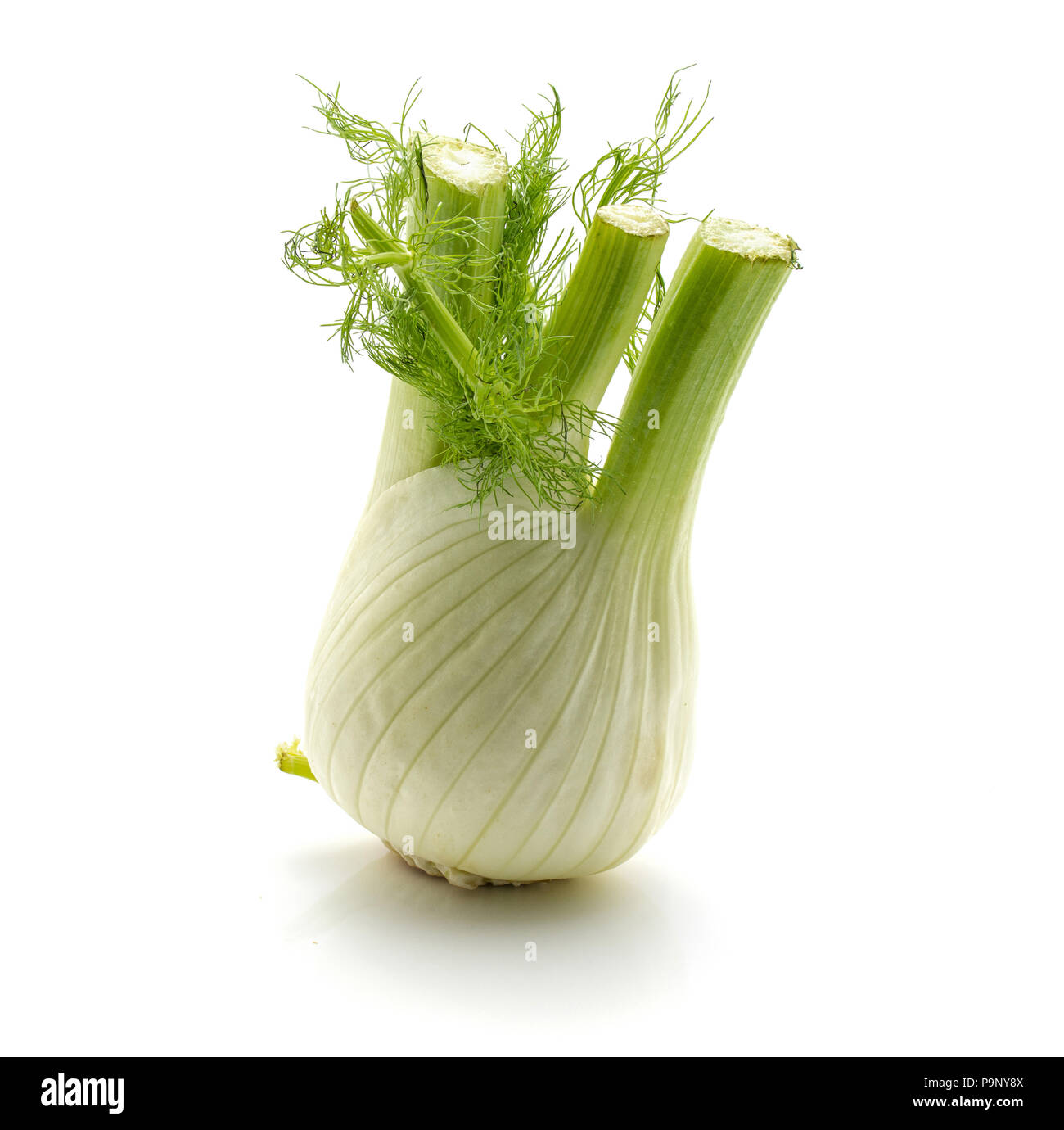 Florence fennel the foliage hi-res stock photography and images - Alamy