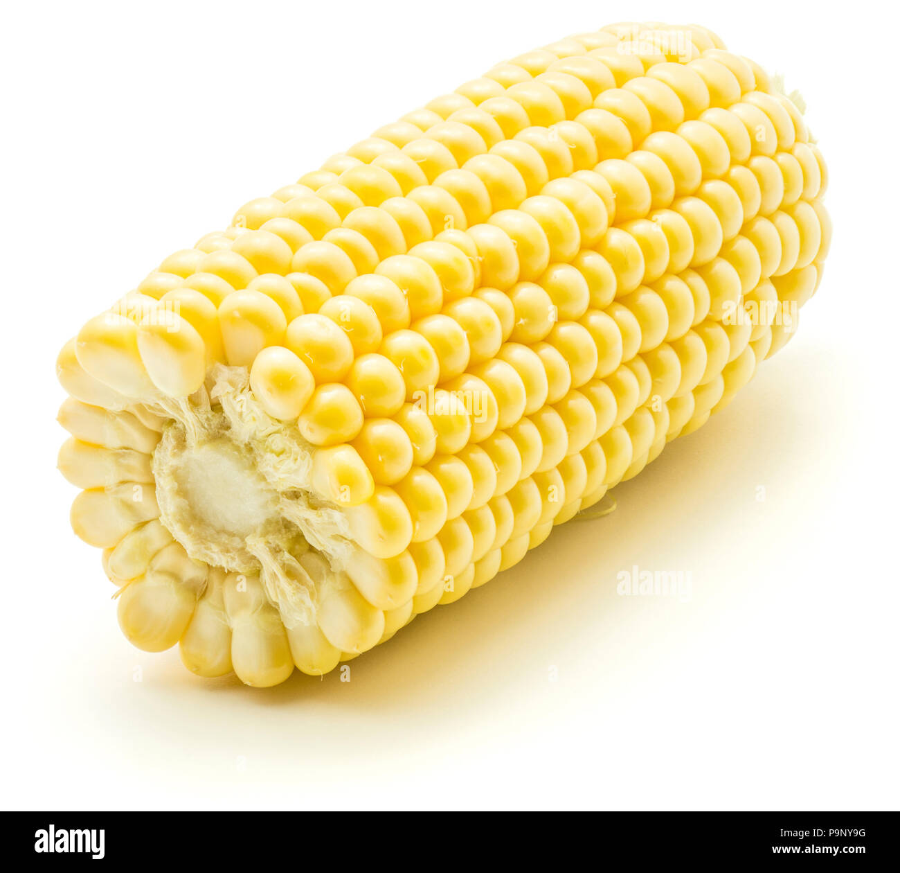 Corn cross section Cut Out Stock Images & Pictures - Alamy