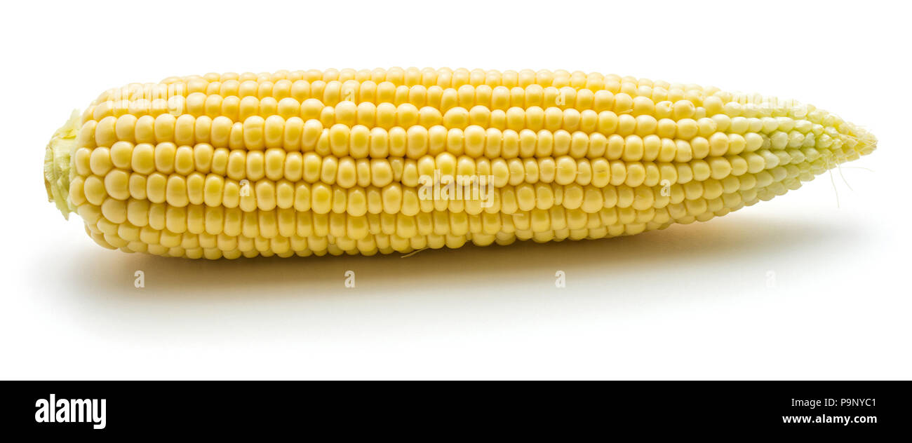 One open sweet corn isolated on white background Stock Photo - Alamy