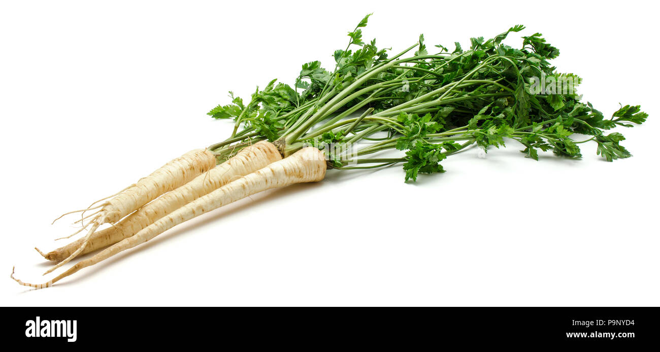 Group of four whole fresh parsley root with leaves isolated on white ...