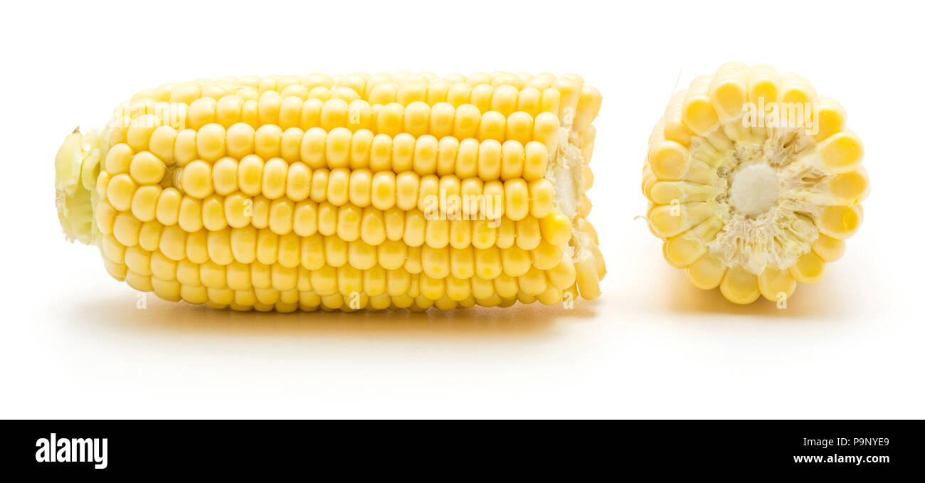 Corn isolated on white background Stock Photo - Alamy