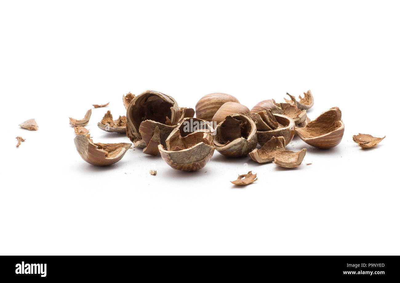 Hazelnut hollow shells stack isolated on white background Stock Photo ...