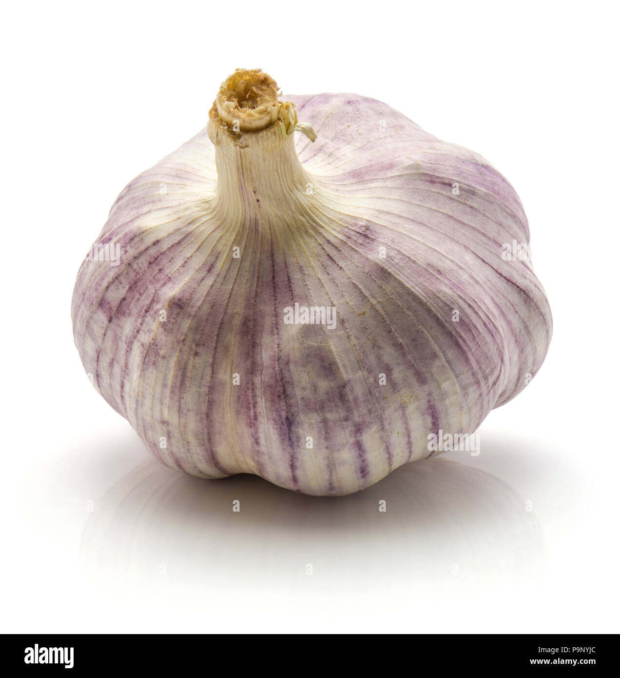 Garlic isolated on white background one whole bulb Stock Photo - Alamy