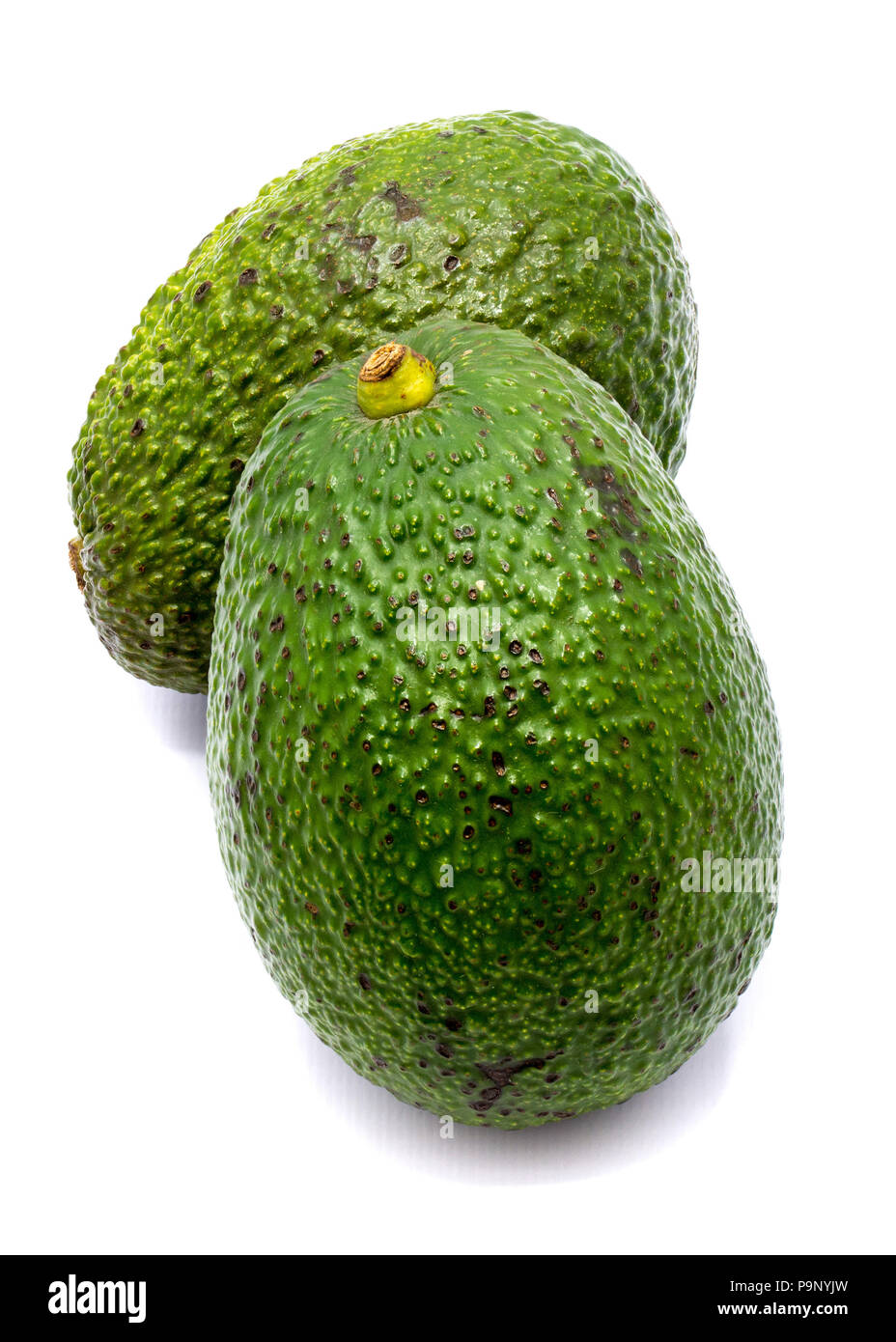 Two whole avocado (Persea americana, alligator pear) isolated on white ...