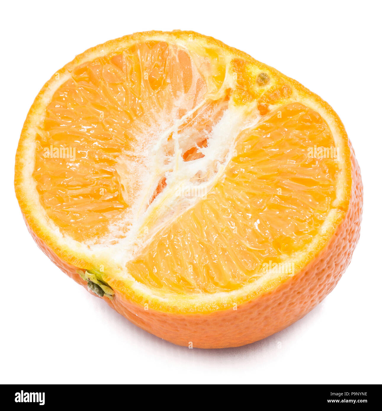 One sliced Clementine half isolated on white background Stock Photo - Alamy