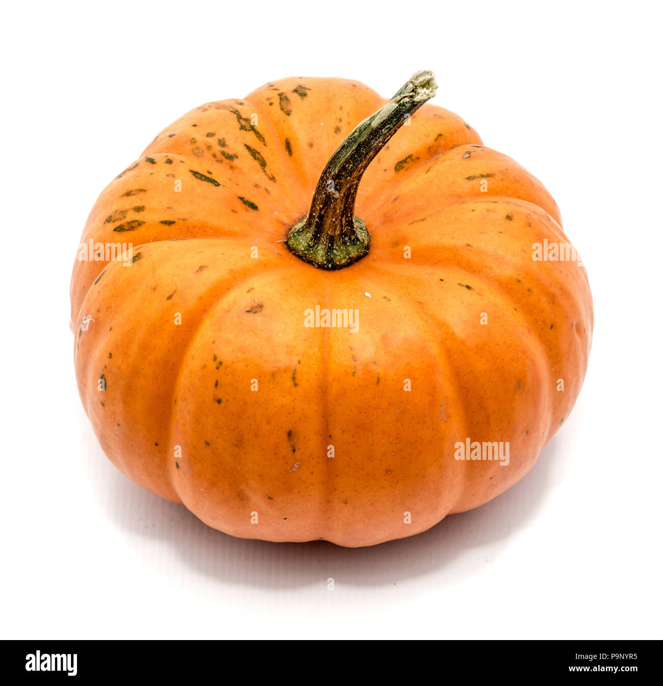 One whole orange pumpkin isolated on white background Stock Photo - Alamy