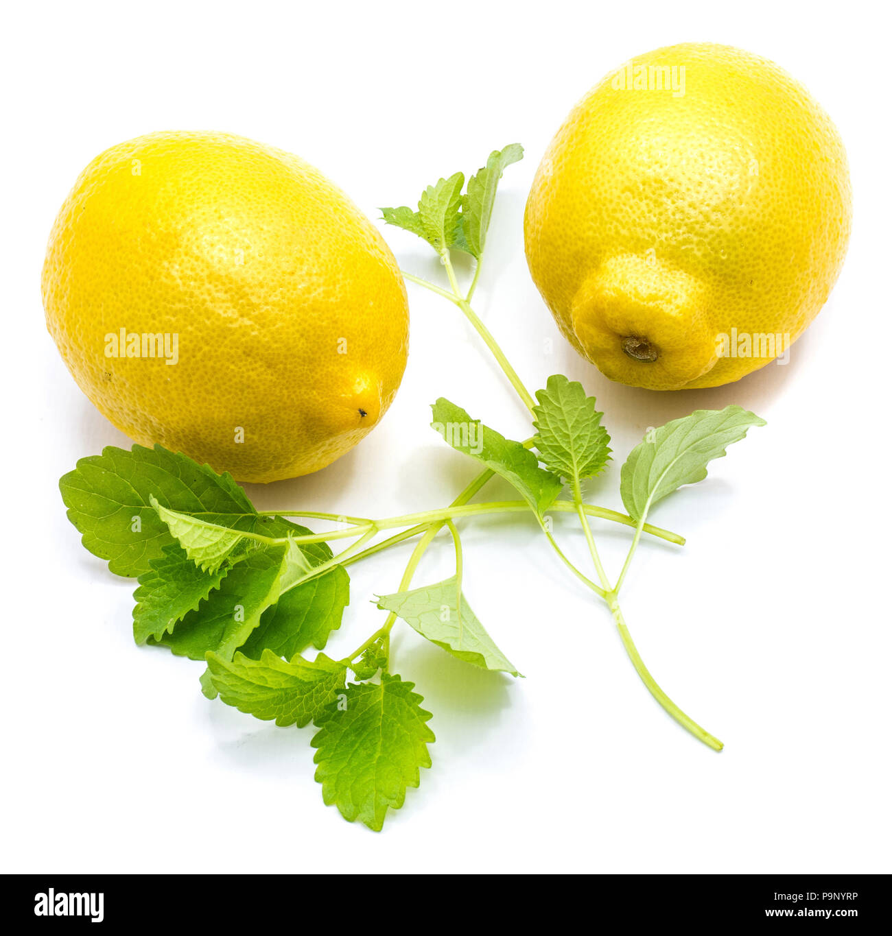 Two whole yellow lemons and fresh green lemon balm leaves isolated on ...