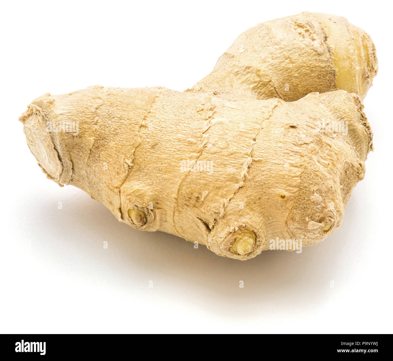 One whole ginger rhizome isolated on white background Stock Photo - Alamy