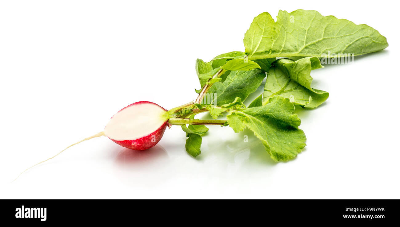 Sliced red radish, one half, fresh green leaves, isolated on white ...