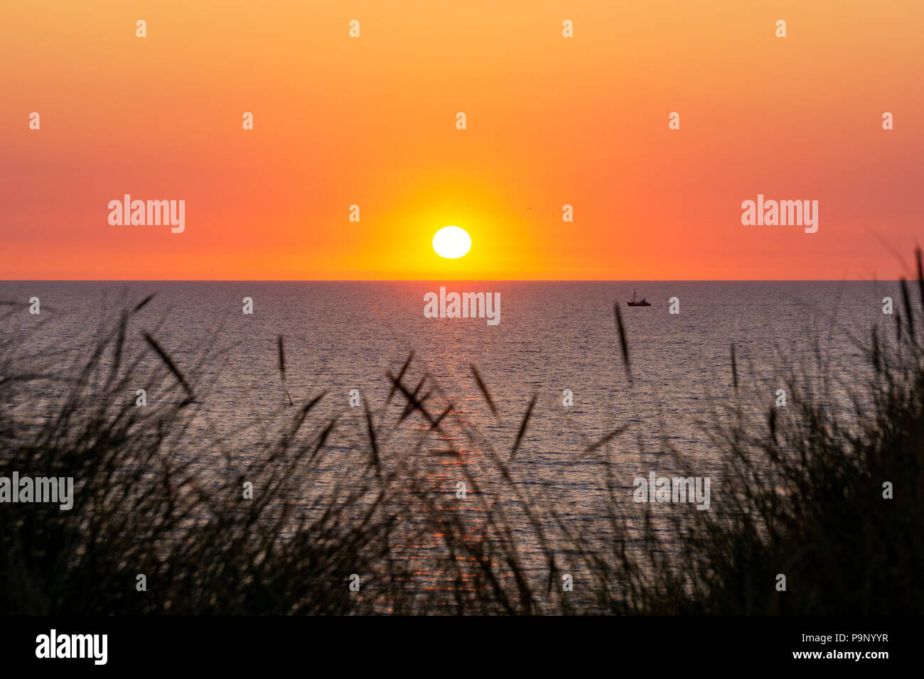 Sunset at Kampen Beach on the island Sylt, Germany Stock Photo - Alamy
