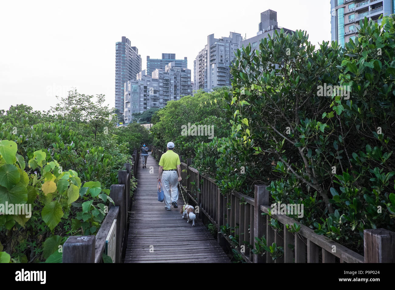 Tamsui river mangrove conservation area hi-res stock photography and ...
