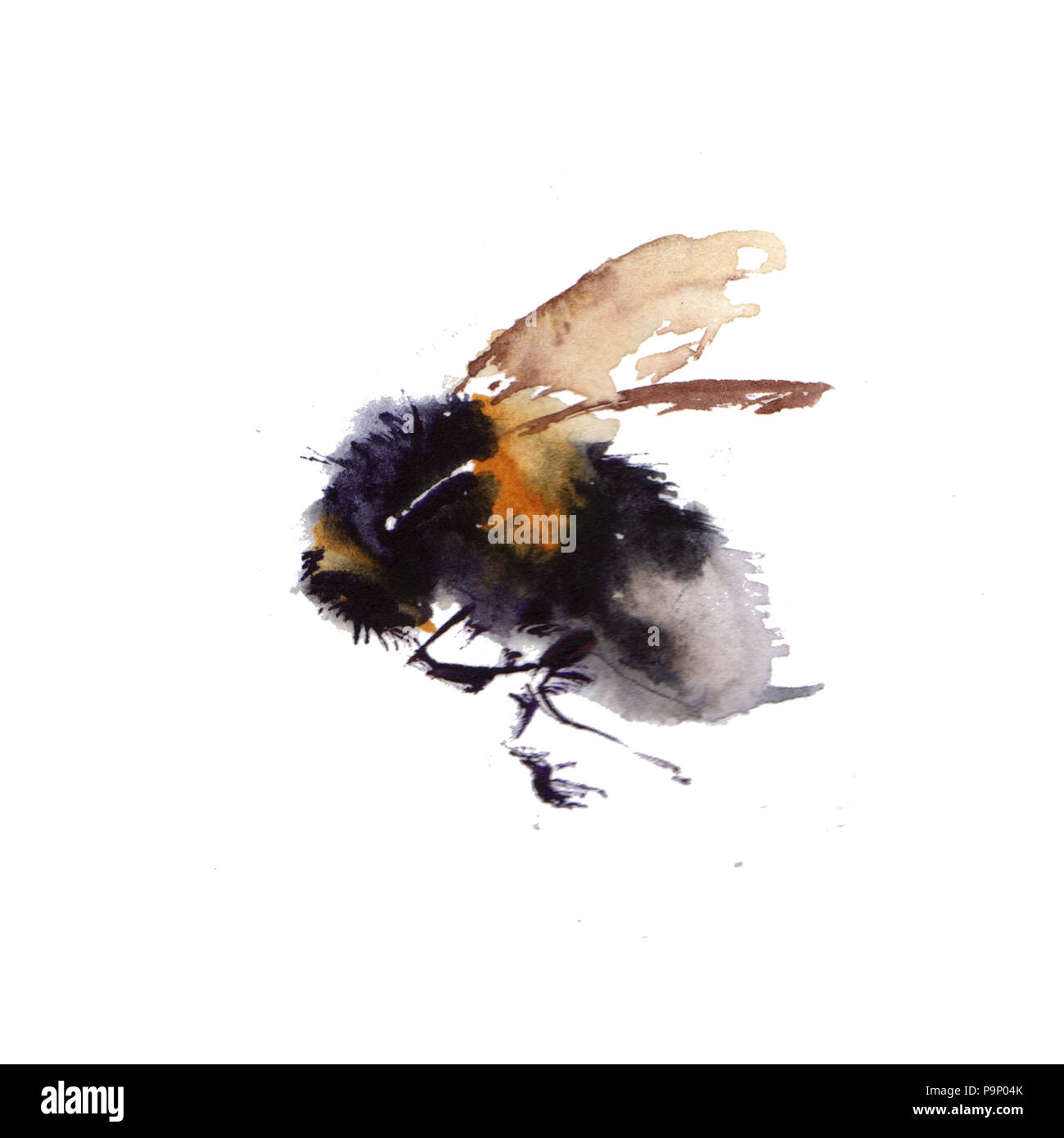 Watercolor bees isolated on white background. hand drawn watercolor ...