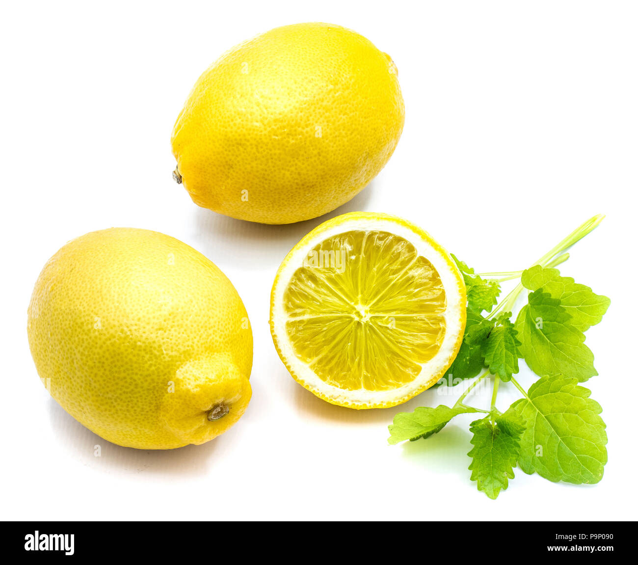 Ellipsoidal leaves hi-res stock photography and images - Alamy