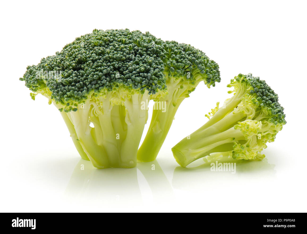 Fresh broccoli isolated on white background two tree like pieces Stock ...