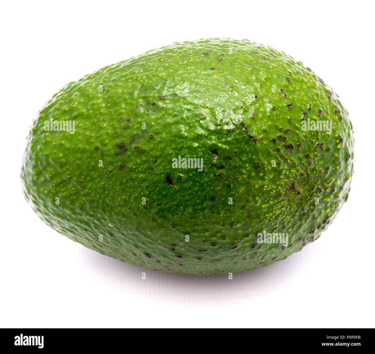 One whole avocado (Persea americana, alligator pear) isolated on white ...