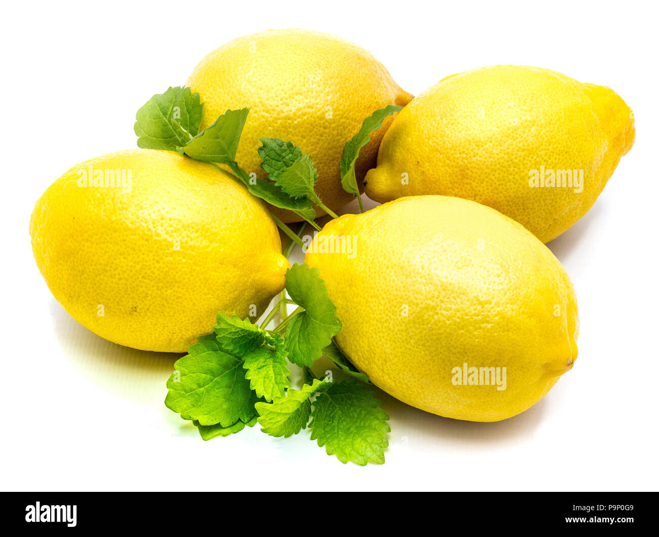 Grout of four whole yellow lemons and fresh green lemon balm leaves ...