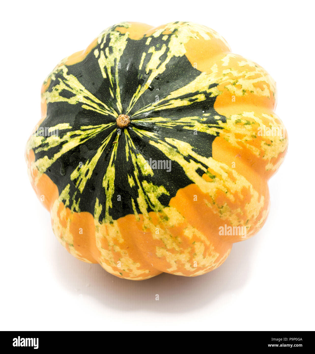 One whole colorful pumpkin (spotty dark green yellow) isolated on white ...