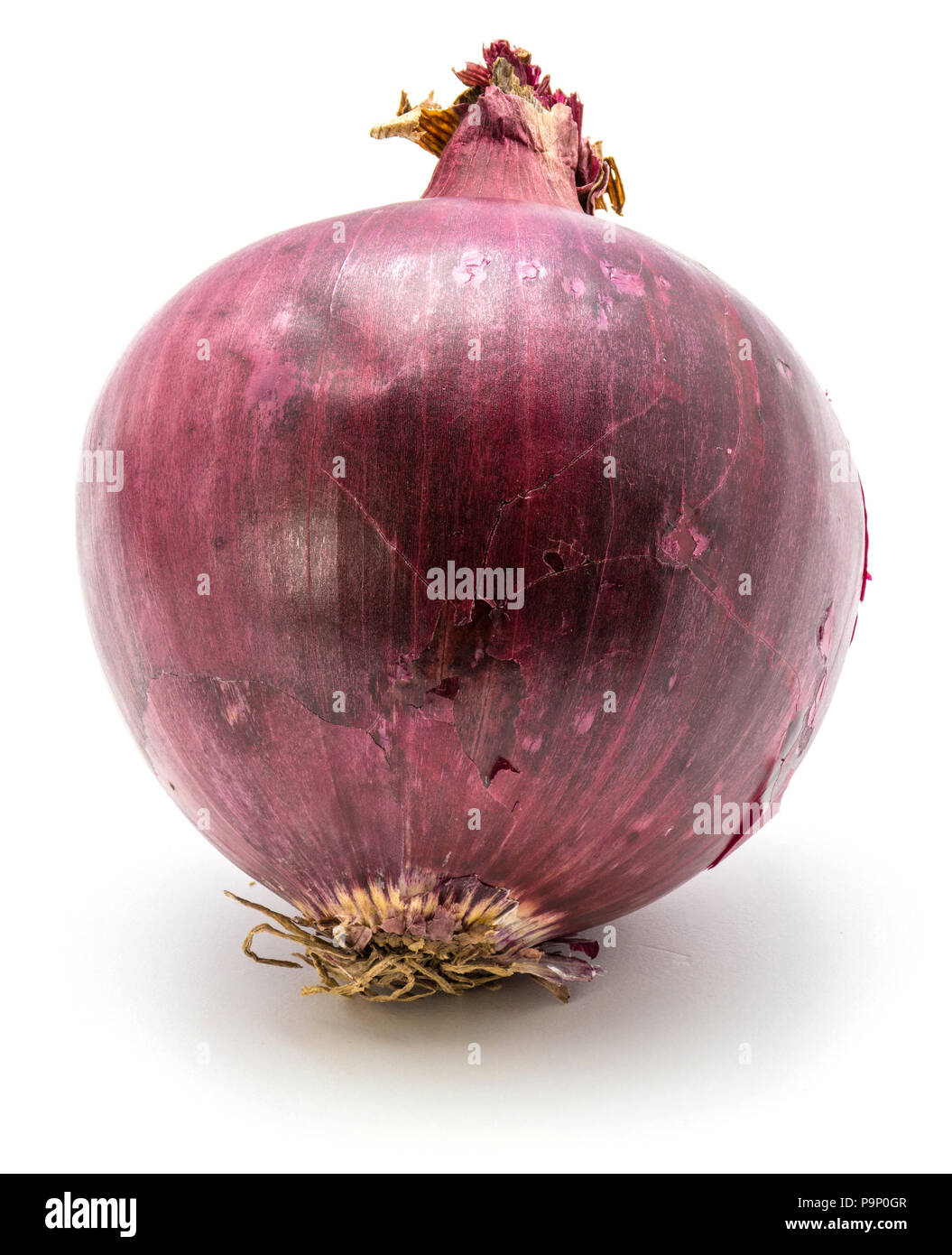One red onion isolated on white background Stock Photo - Alamy