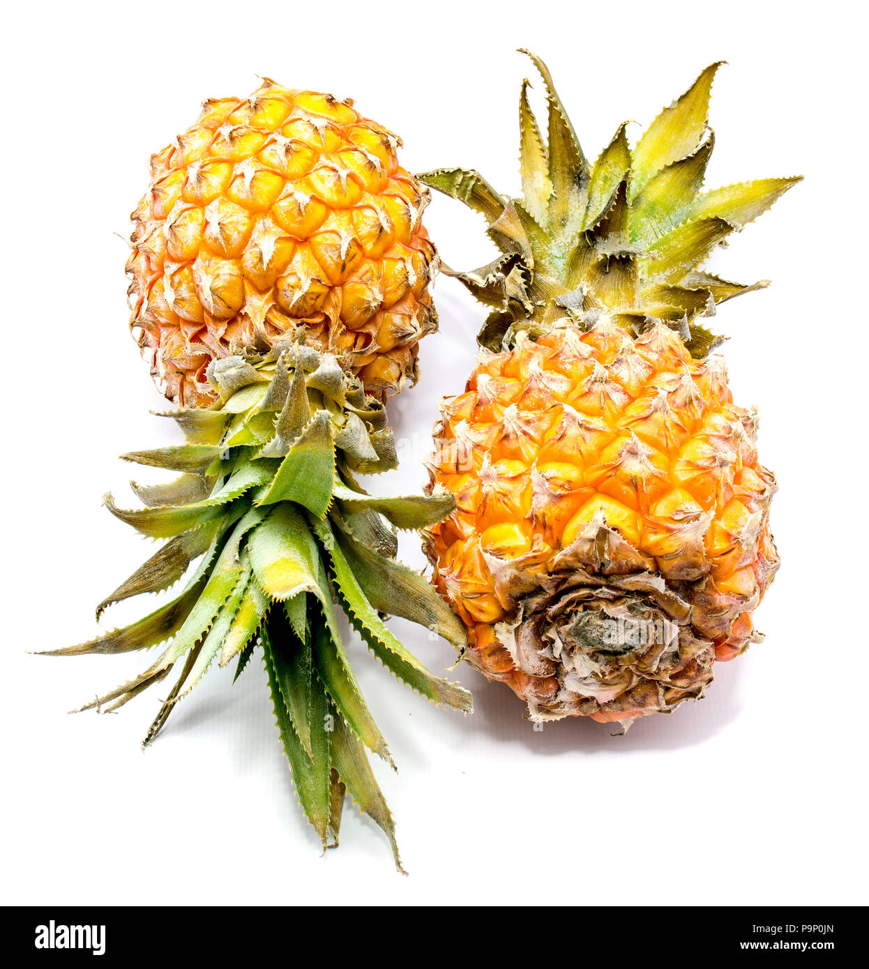 Two whole pineapples isolated on white background Stock Photo - Alamy