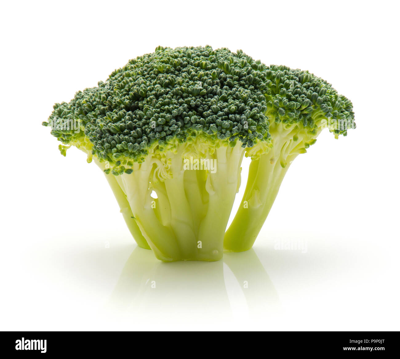 Fresh broccoli isolated on white background one tree like piece Stock ...