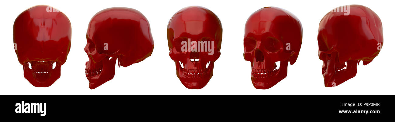 3d rendering illustration of skull Stock Photo - Alamy