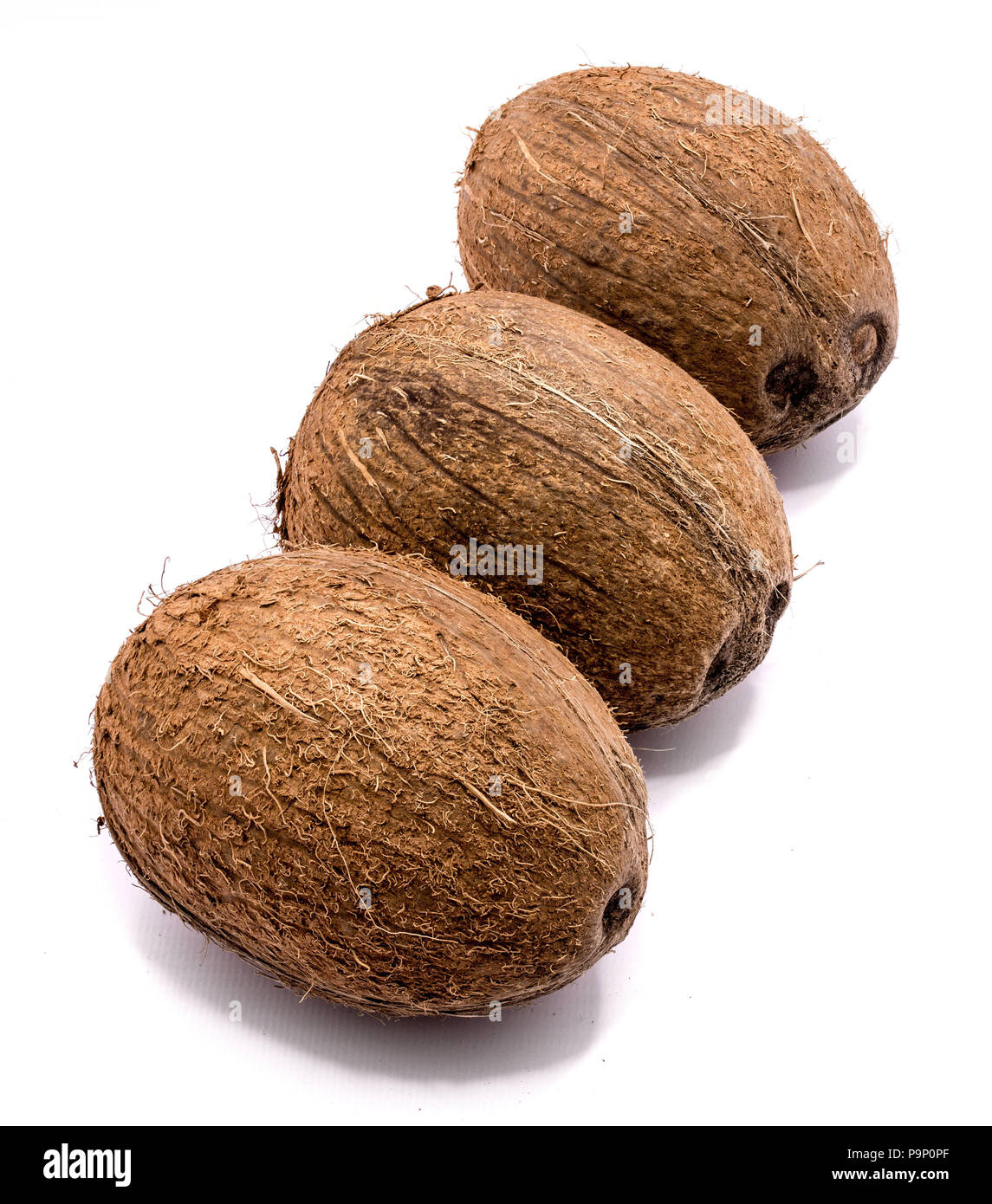 Three whole coconuts in line isolated on white background Stock Photo ...