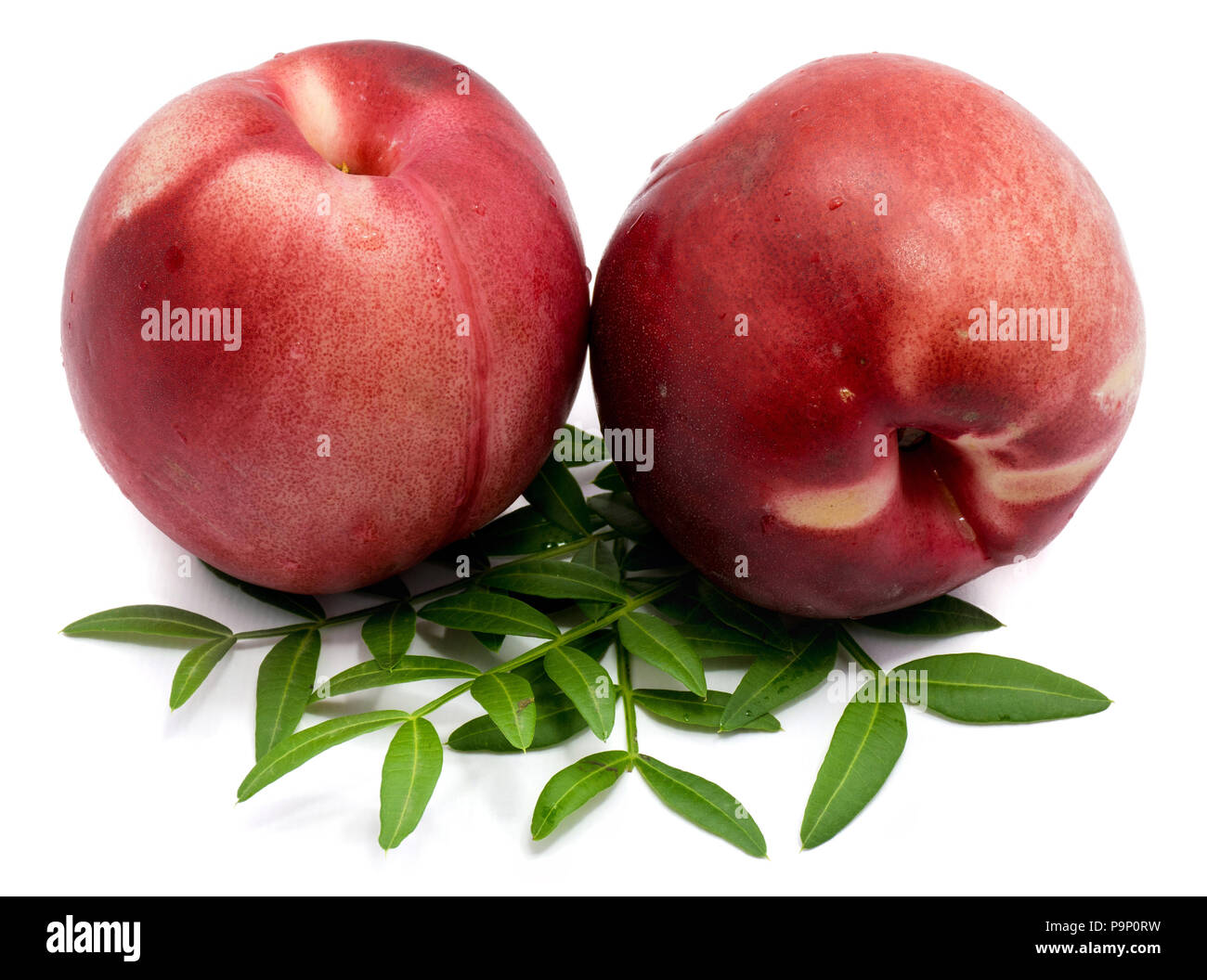 Two whole white nectarine on fresh green leaves isolated on white ...