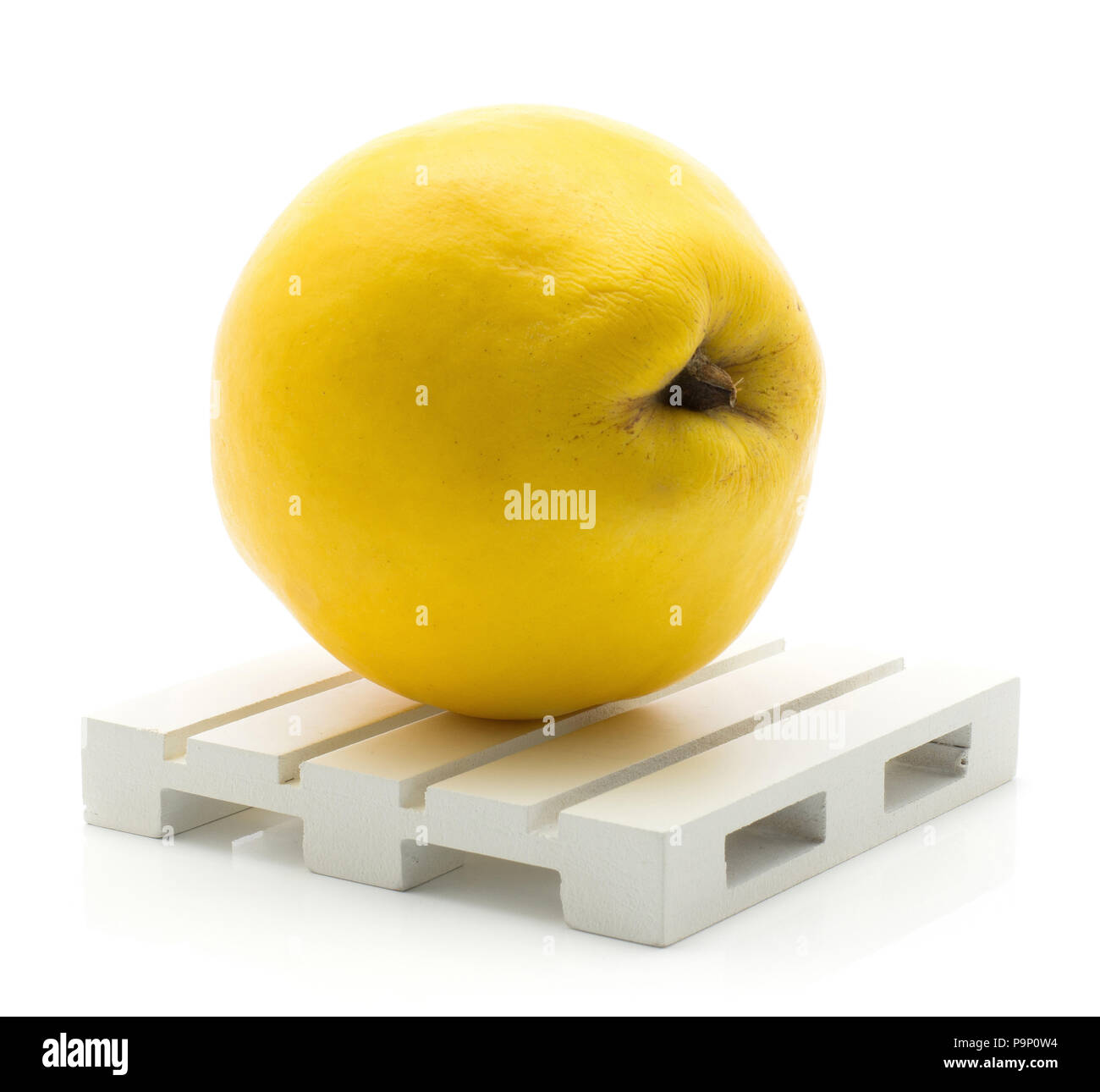 One yellow quince on a pallet isolated on white background raw fresh ...