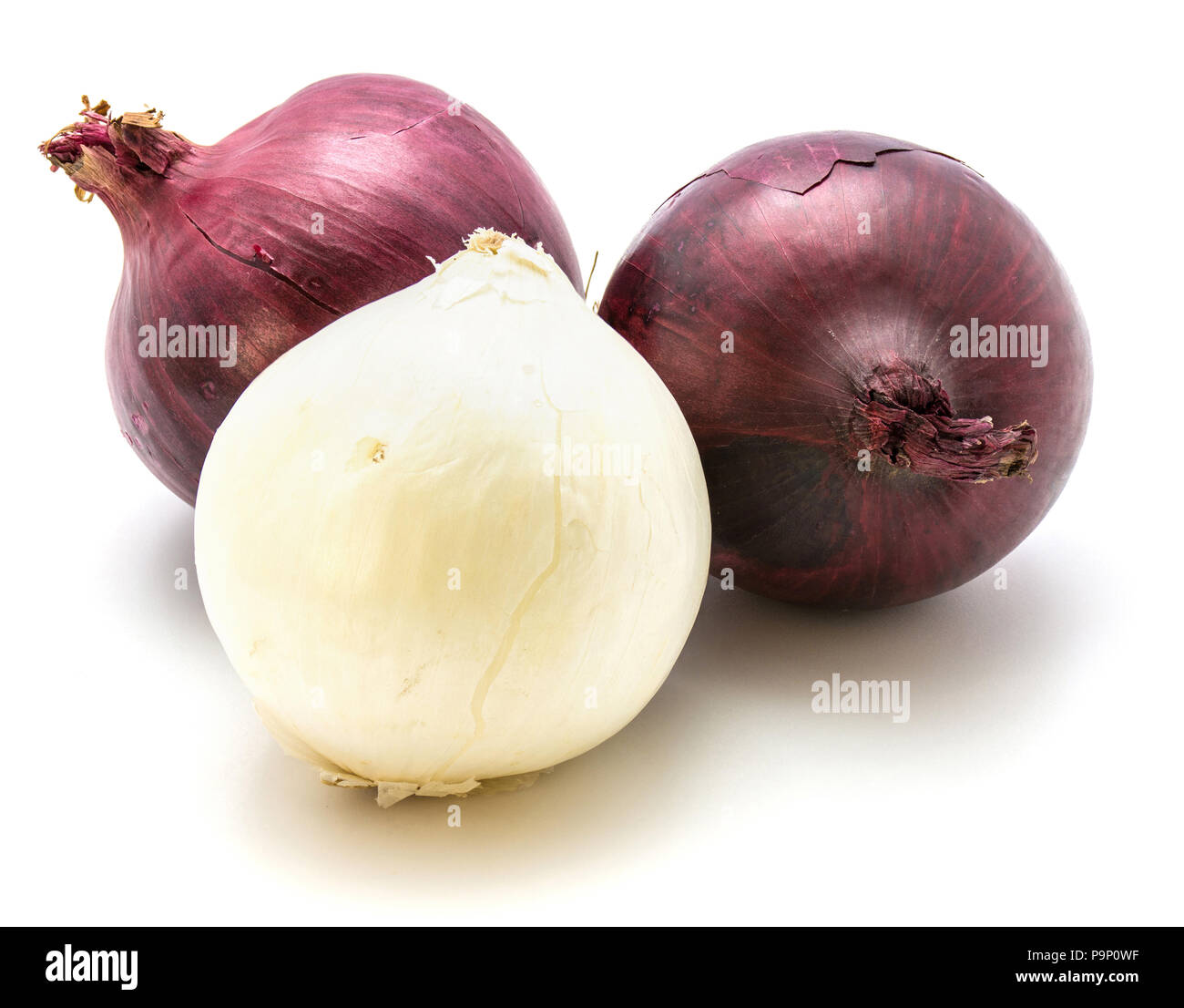 Red and white onion isolated on white background Stock Photo - Alamy