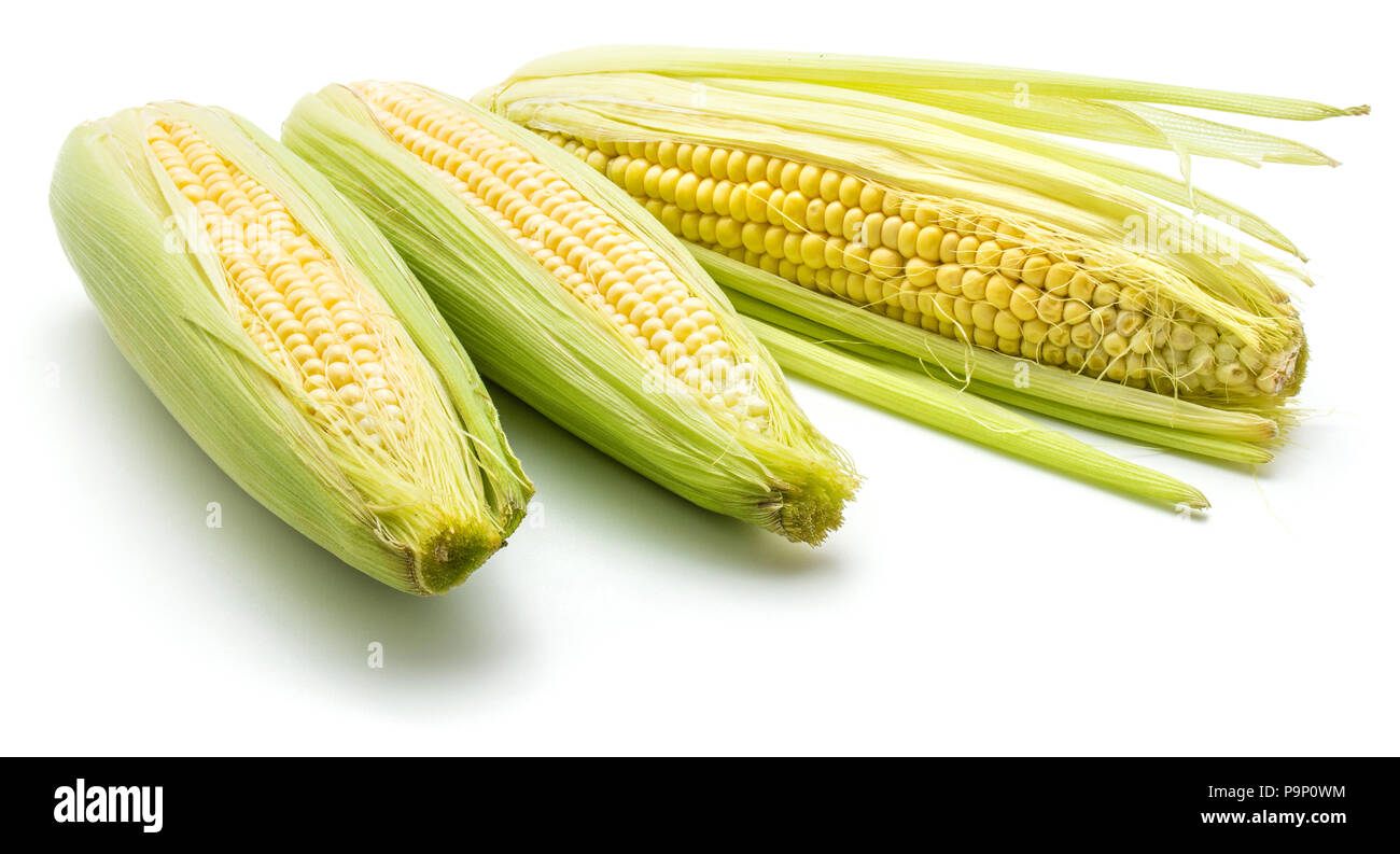 Three fresh corn isolated on white background Stock Photo - Alamy