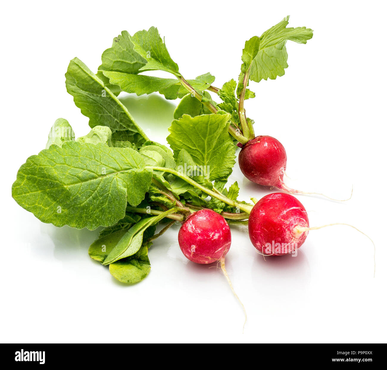 Three whole red radish with fresh green leaves isolated on white ...