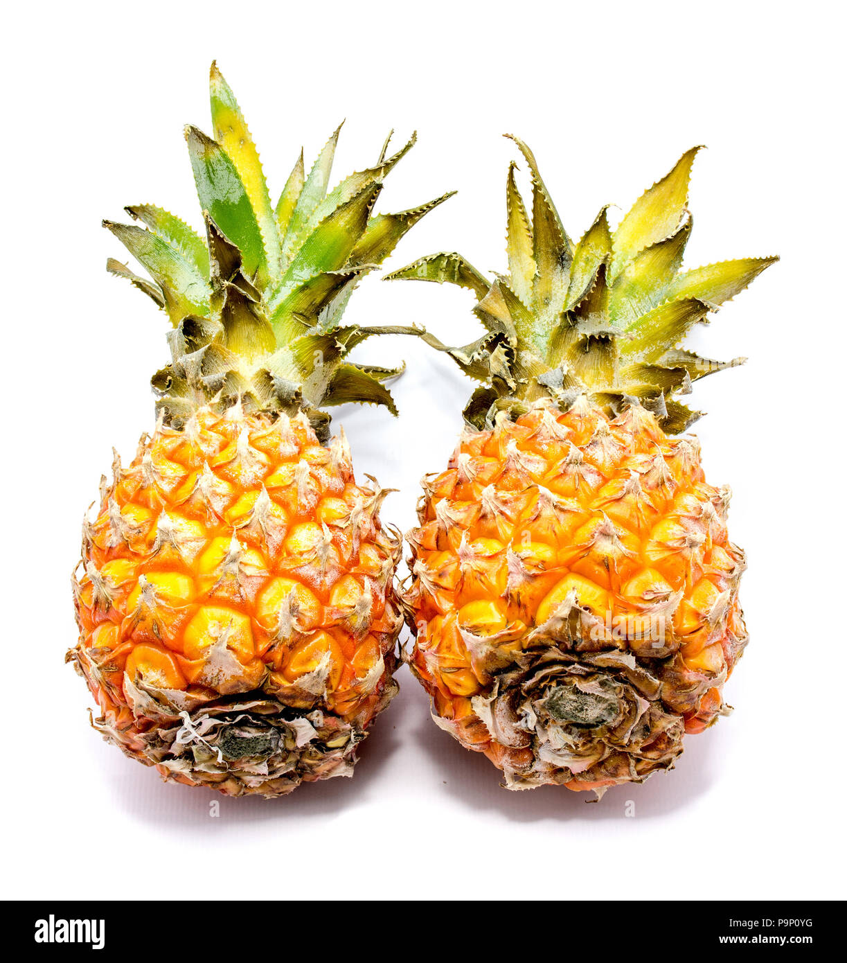 Two whole pineapples isolated on white background Stock Photo - Alamy